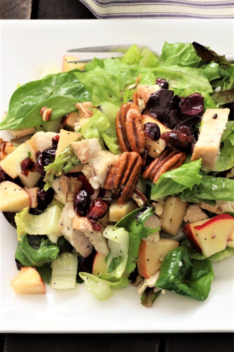 Autumn Chicken Pecan Salad - My Recipe Treasures