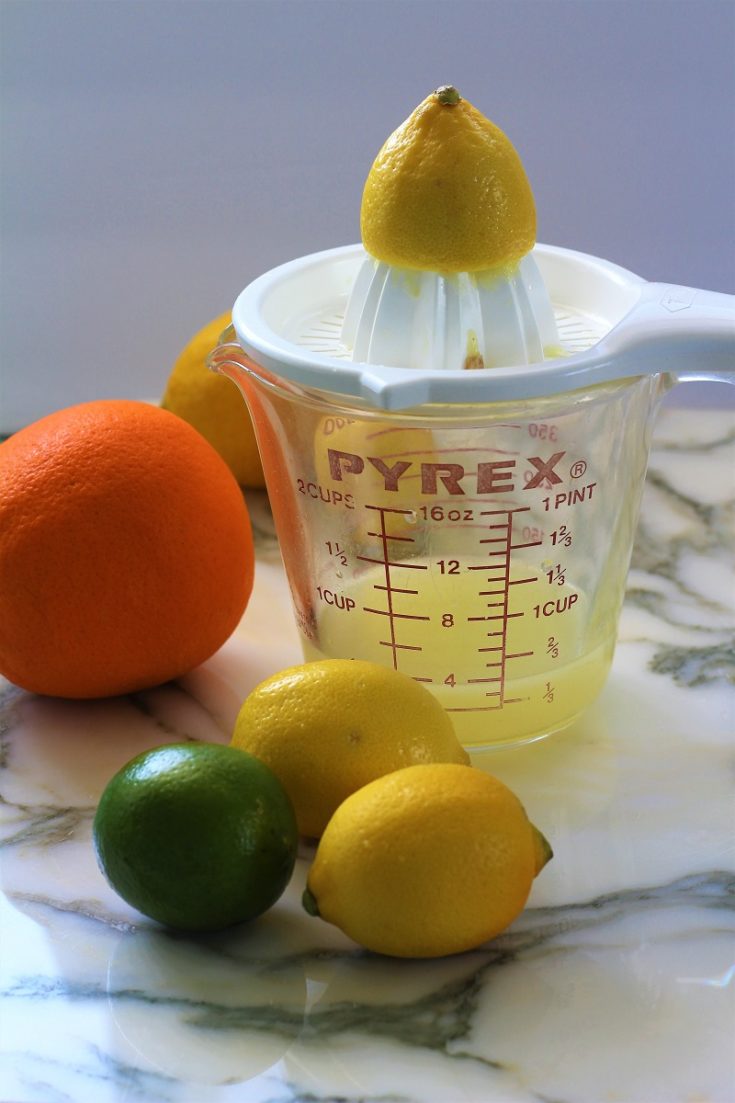 Citrus Lemonade - My Recipe Treasures