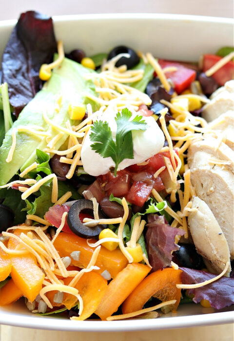 Tex-Mex Chicken Bowls - My Recipe Treasures