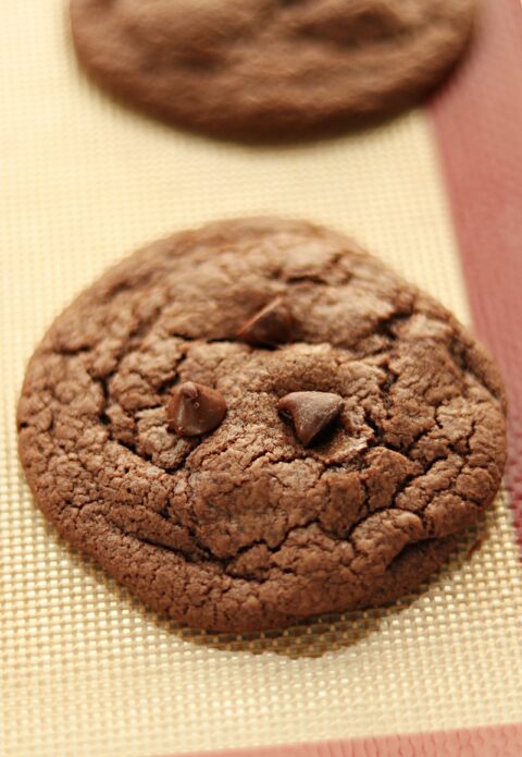 Double Chocolate Chip Cookies - My Recipe Treasures