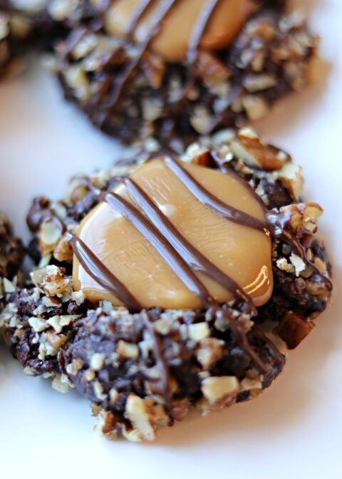 Turtle Cookies - My Recipe Treasures